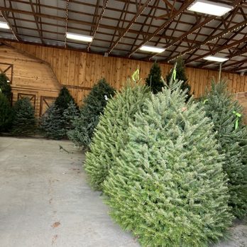 GAVER TREE FARM & PUMPKIN PATCH - Updated August 2025 - 264 Photos ...