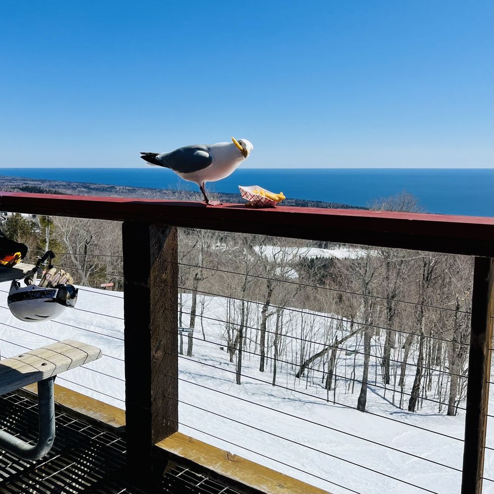 LUTSEN MOUNTAINS - Updated February 2025 - 67 Photos & 62 Reviews - 467 ...