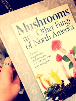 RUSSELL MEMORIAL LIBRARY - Updated October 2025 - 40 Photos - 2808 ...