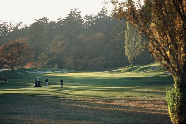 GORGE VALE GOLF CLUB - Updated December 2025 - 14 Photos - 1005 ...