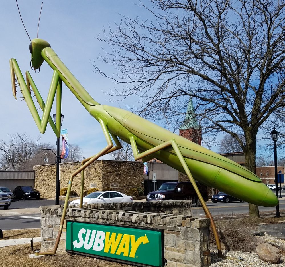 KOKOMANTIS - Updated June 2024 - 259 W Sycamore St, Kokomo, Indiana ...