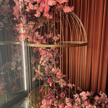 KOYA HOUSTON - Updated February 2025 - 203 Photos & 151 Reviews - 2600 ...