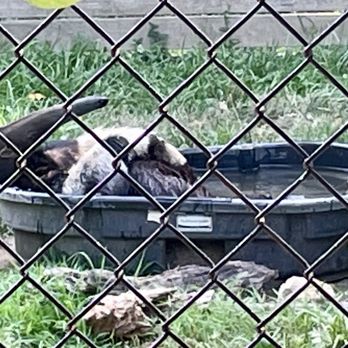 MESKER PARK ZOO & BOTANIC GARDEN - Updated October 2025 - 255 Photos & 43 Reviews - 1545 Mesker ...