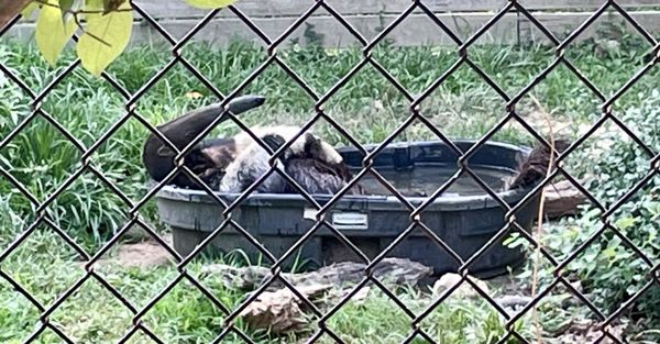 MESKER PARK ZOO & BOTANIC GARDEN - Updated October 2025 - 255 Photos & 43 Reviews - 1545 Mesker ...