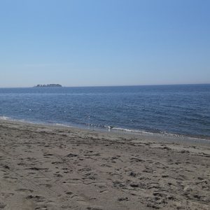 WALNUT BEACH - 149 Photos & 31 Reviews - Swimming Pools - 113 E ...