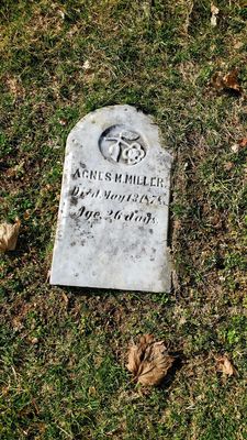 TREXLER MEMORIAL PARK - Updated March 2025 - 111 Photos - Springhouse ...