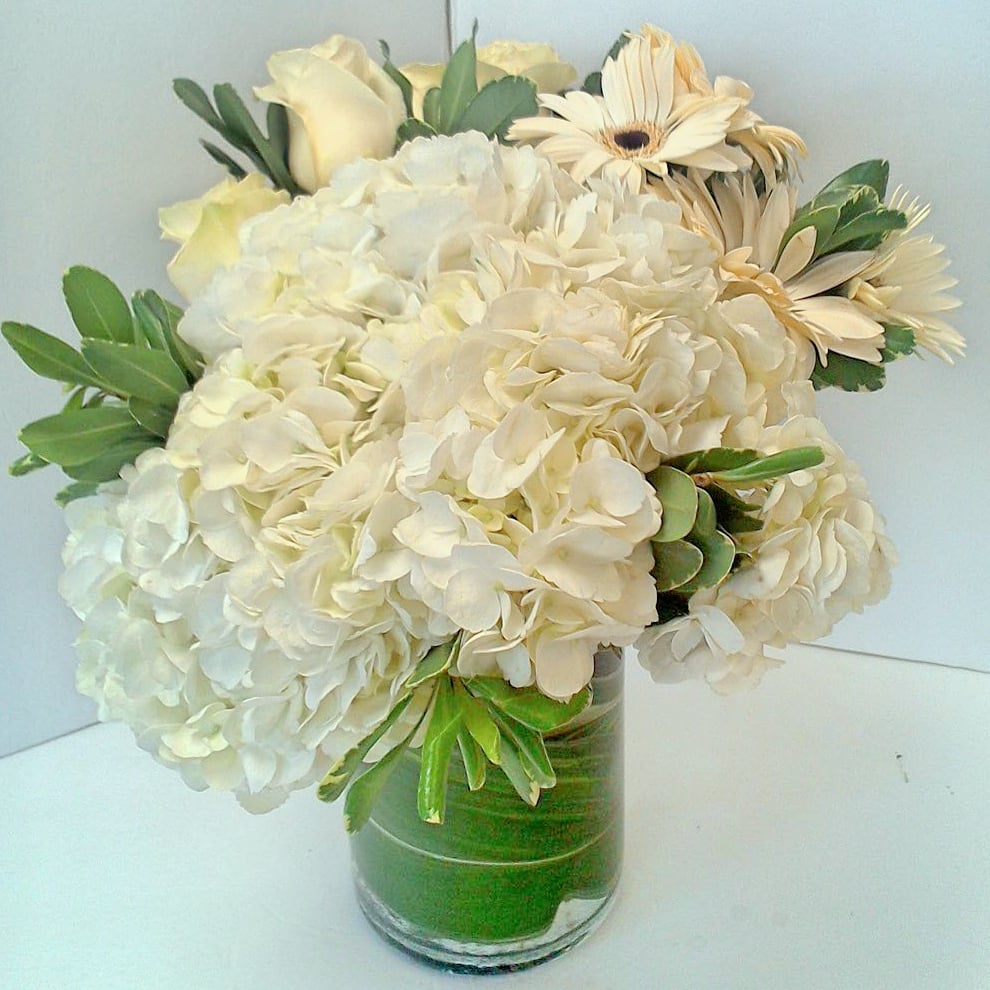 ZIMLICH BROTHERS FLORIST & GREENHOUSE - 1910 Government St, Mobile, AL ...