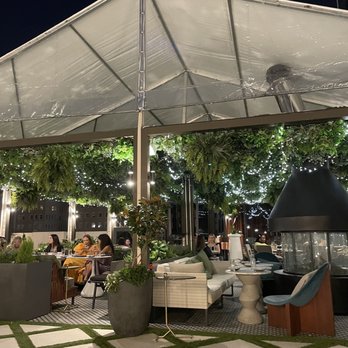 CATBIRD - Updated July 2024 - 626 Photos & 335 Reviews - 1401 Elm St ...