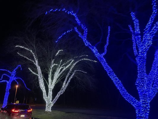 BULL RUN FESTIVAL OF LIGHTS - Updated November 2024 - 18 Photos & 13 ...
