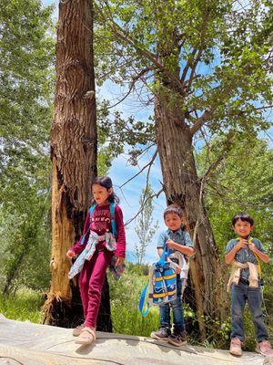 OXBOW NATURE STUDY AREA - Updated May 2025 - 132 Photos & 28 Reviews ...