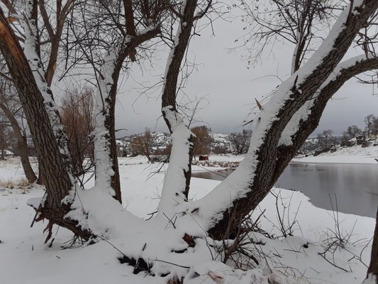 STALLION SPRINGS RESORT - Updated December 2024 - 105 Photos & 23 ...