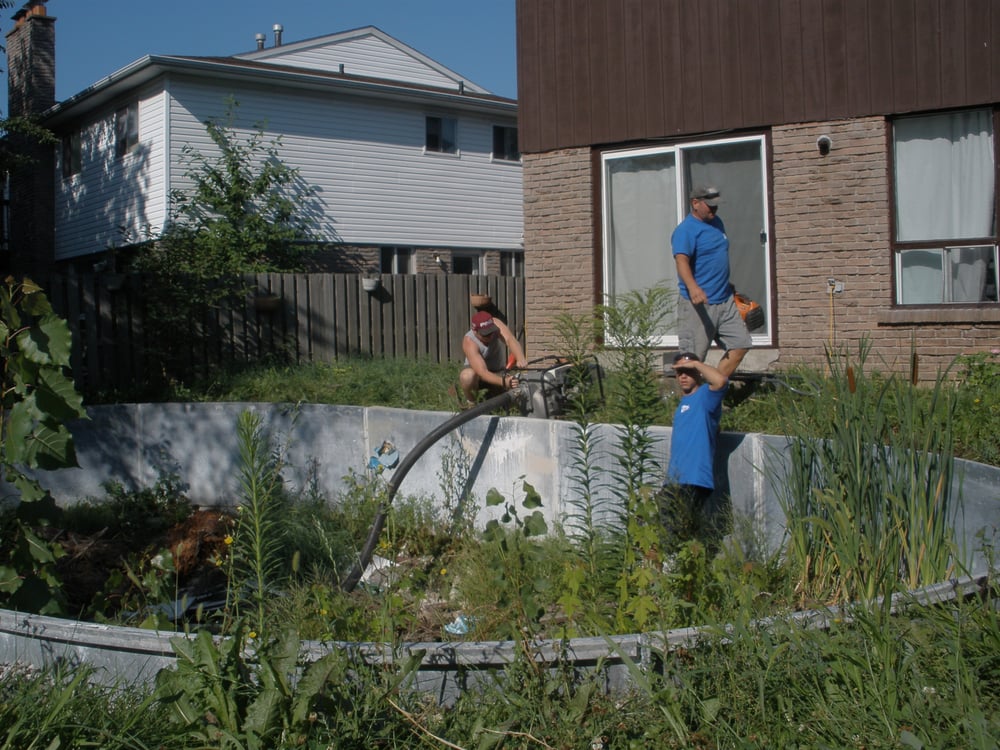 THE POOL FILL-IN PEOPLE - Updated January 2026 - 3 Mustard Street ...