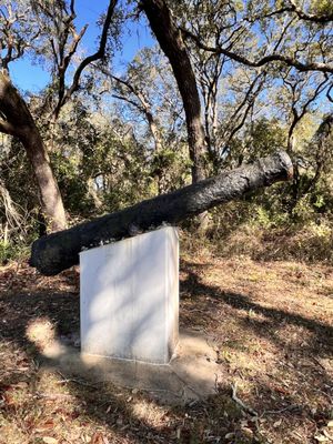 YELLOW BLUFF FORT HISTORIC STATE PARK - Updated January 2026 - 29 ...