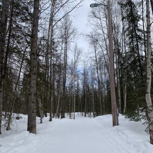 FOX HOLLOW GOLF COURSE - Updated March 2025 - 15 Photos - 11801 Brayton ...