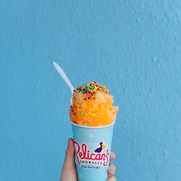 Pelican’s SnoBalls Reviews | Read Customer Service Reviews of ...