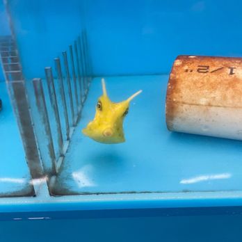 THAT FISH PLACE - THAT PET PLACE - Updated December 2025 - 149 Photos ...