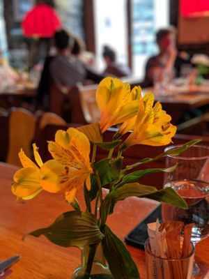 STASH CAFÉ - 400 Photos & 337 Reviews - Polish - 200 Rue Saint-Paul ...