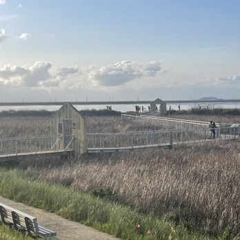 ALVISO MARINA COUNTY PARK - Updated July 2025 - 1706 Photos & 221 ...