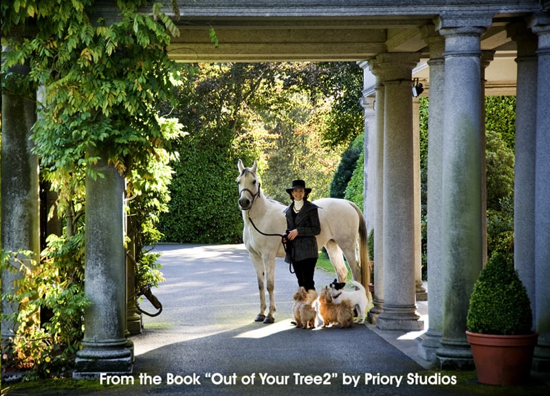 LAKE TOUR STABLES - Carrigavantry, Waterford, Republic of Ireland ...
