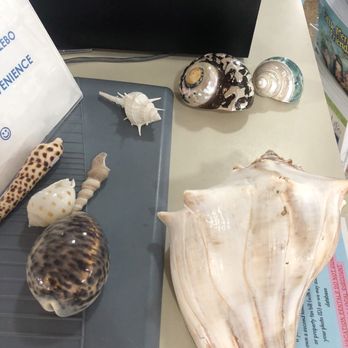 SHELL WORLD - Updated September 2025 - 199 Photos & 111 Reviews - 97600 ...