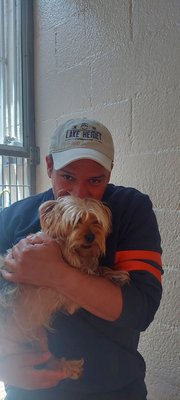 LAGUNA BEACH ANIMAL SHELTER - Updated September 2025 - 25 Photos & 52 ...