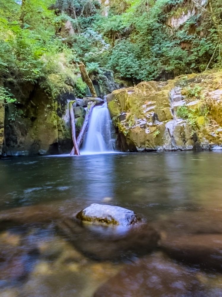 SWEET CREEK TRAIL - Updated January 2025 - 133 Photos & 26 Reviews ...