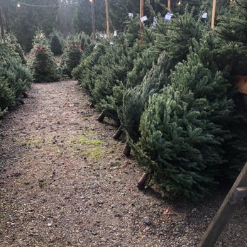 TRINITY TREE FARM - Updated September 2025 - 214 Photos & 103 Reviews ...