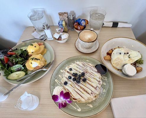 ORCHID BRUNCH - Updated March 2026 - 122 Photos & 94 Reviews - 32610 7 ...