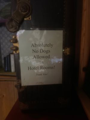 BELDEN TOWN & LODGE RESORT - Updated October 2025 - 46 Photos & 53 ...