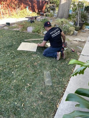 RODENT CONTROL - Updated December 2025 - 50 Photos & 96 Reviews - 3850 ...