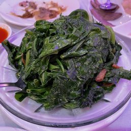 JADE HARBOR - Updated March 2026 - 305 Photos & 231 Reviews - 942 Race ...