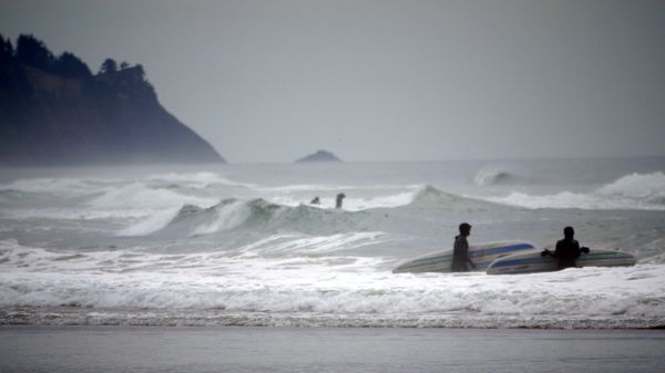 ARCADIA BEACH STATE RECREATION SITE - Updated April 2024 - 86 Photos ...
