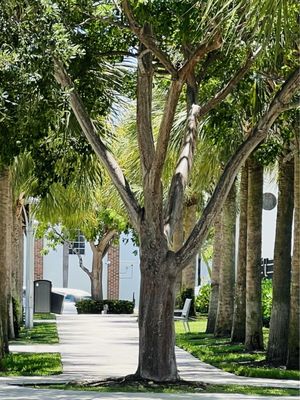 BF JAMES PARK - Updated October 2025 - 19 Photos - 777 NW 1st Ave ...