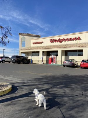 WALGREENS - Updated December 2024 - 27 Photos & 40 Reviews - 451 S ...