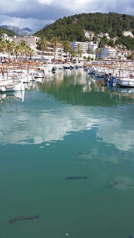 EL MOLL - Updated July 2025 - Calle de la Marina, Gers, Port de Sóller ...