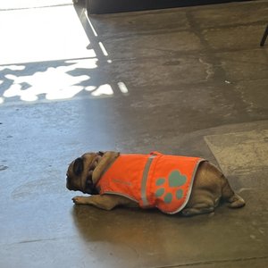 GREEN TOWER GAMES - Updated May 2024 - 15 Reviews - 24787 Valley St ...