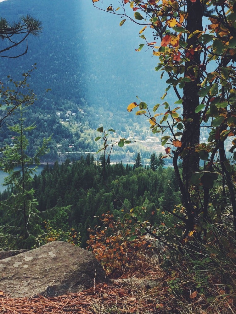 PULPIT ROCK TRAIL - Updated March 2025 - Johnstone Road, Nelson ...