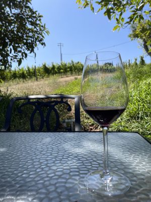 FALLBROOK WINERY - Updated July 2025 - 146 Photos & 86 Reviews - 2554 ...