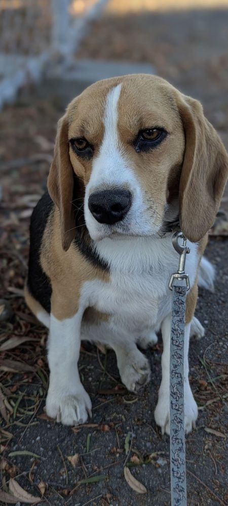 DR ROBERT GROSS WATER RECLAIMATION PONDS - Updated October 2025 - 13 ...