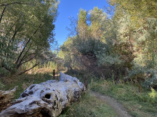 OXBOW NATURE STUDY AREA - Updated December 2025 - 139 Photos & 28 ...