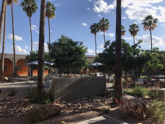 CHANDLER-GILBERT COMMUNITY COLLEGE - Updated December 2025 - 47 Photos ...