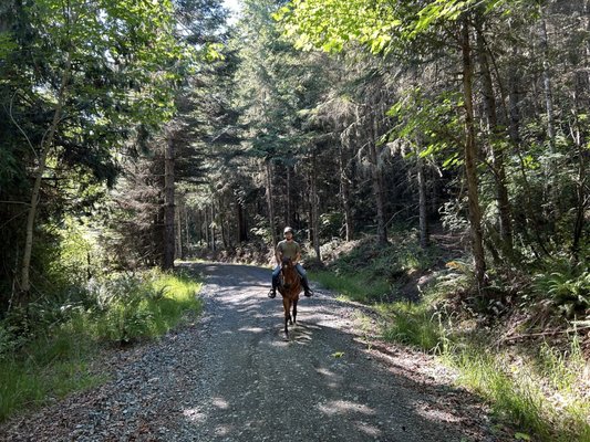 RED HAWK STABLES - Updated October 2025 - 22 Photos & 16 Reviews - 1445 ...