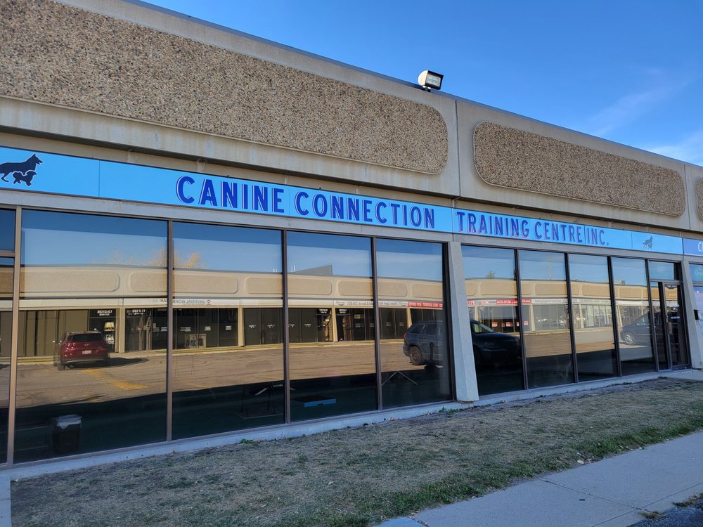 CANINE CONNECTION TRAINING CENTRE - 16 Photos - 2015 32 Avenue NE ...