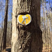 STUMPY LAKE NATURAL AREA - 237 Photos & 17 Reviews - 4794 Indian River ...