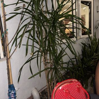 CALABASH CARIBBEAN - Updated December 2025 - 73 Photos & 34 Reviews ...