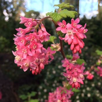 ELK ROCK GARDEN - Updated July 2025 - 107 Photos & 24 Reviews - 11800 ...