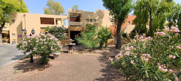 ORANGE TREE RESORT - Updated September 2024 - 266 Photos & 230 Reviews ...