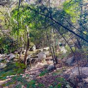 RIVER PLACE NATURE TRAIL - 549 Photos & 231 Reviews - 8830 Big View Dr ...
