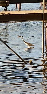 YOSEMITE LAKE RECREATION AREA - Updated December 2025 - 117 Photos & 45 ...