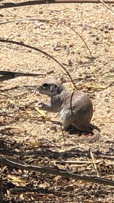 SUNSET REGIONAL PARK - Updated 2024 - 91 Photos & 18 Reviews - 500 S ...